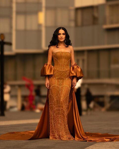 SA Style Awards 2024: A Golden Celebration of Innovation and ...